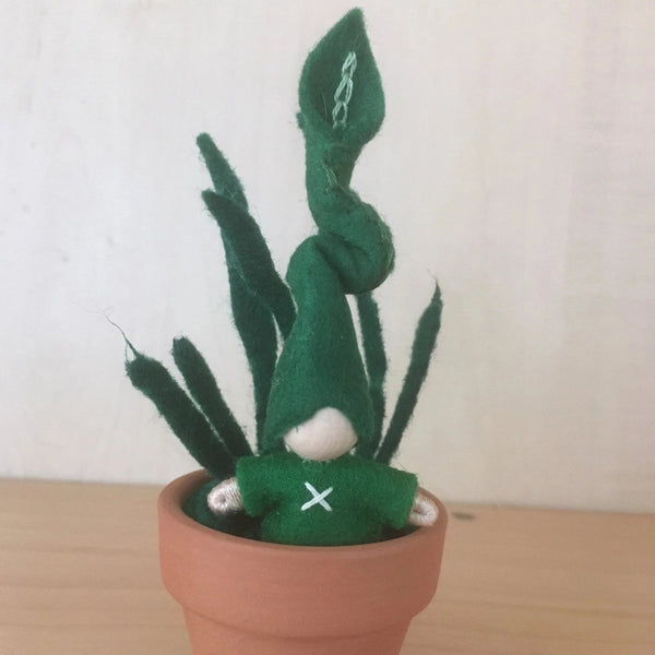 Sprouts – The Toy Boat